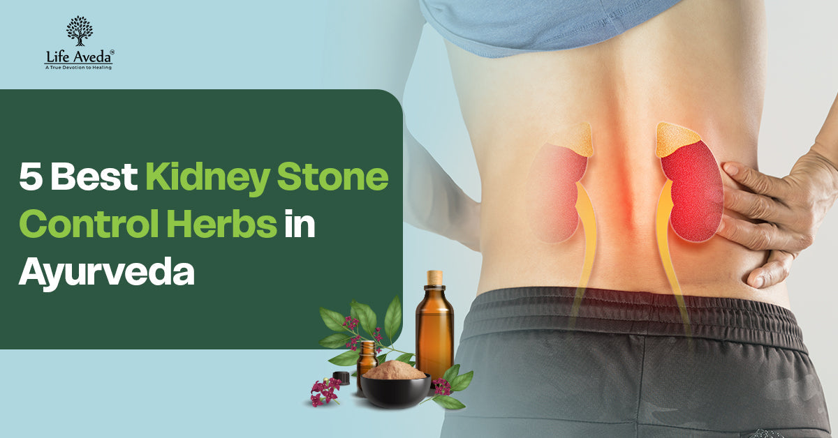 5 Best Kidney Stone Control Herbs in Ayurveda – Life Aveda
